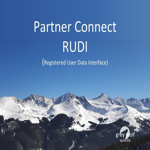 Partner Connect RUDI | PDF