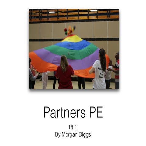Partners pe | PDF