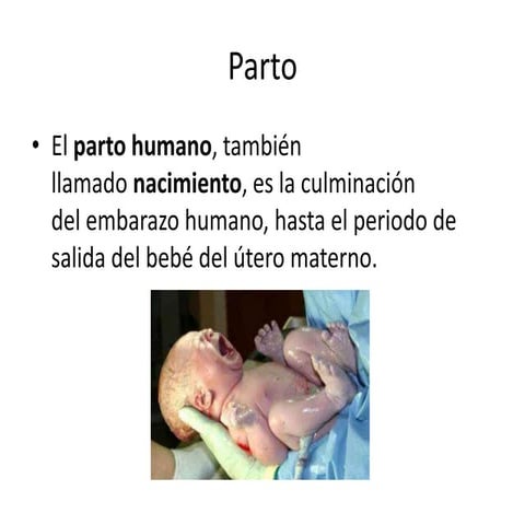 Expo danna etapas del parto | PPT