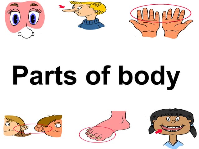Parts of the body | PPTX