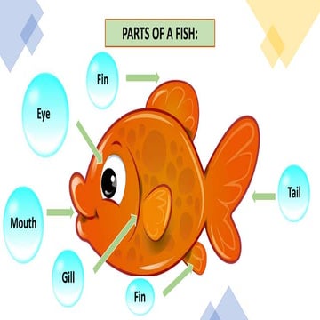 Parts of the fish | PPTX
