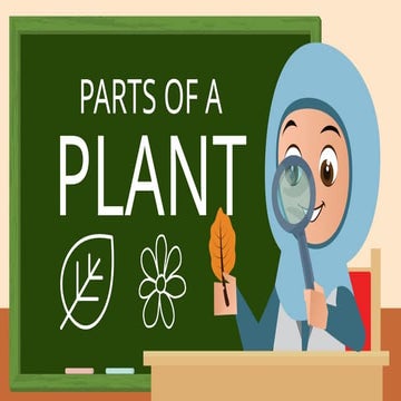 Part of the Plant Material For 1st Grade | PPSX