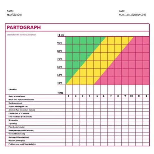 PARTOGRAPH.docx