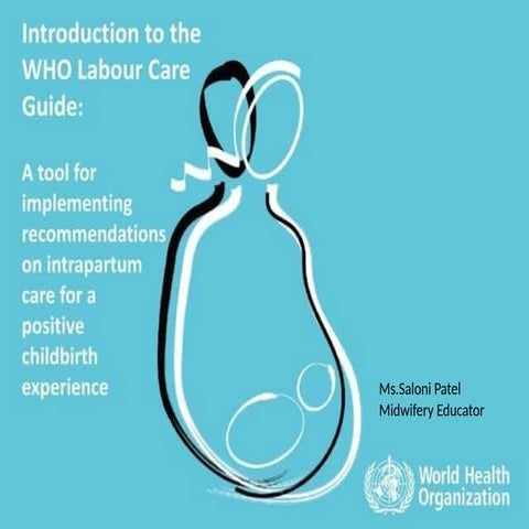 Partograph / WHO Labour Care Guide.pptx