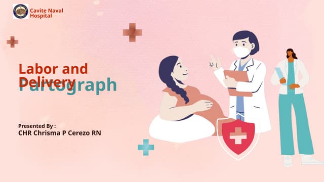 For delivery fdar charting | PDF