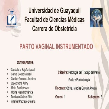 PARTO VAGINAL INSTRUMENTADO- SUBGRUPO 3.pptx