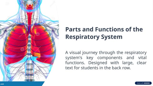 Science 6_Q2_L6_Parts and Function of Respiratory System.pptx