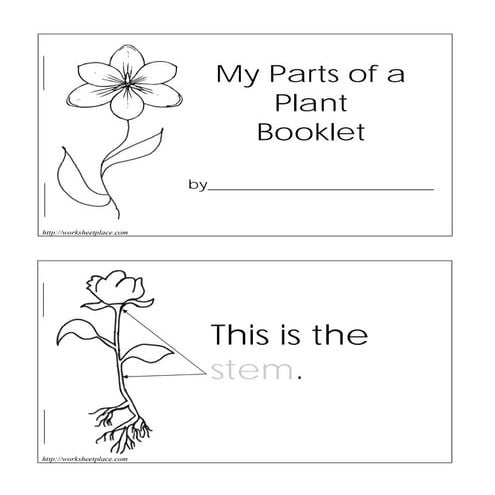 Parts of-a-plant | PDF | Gardening | Home & Garden