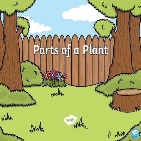 Parts-of-a-Plant-PowerPoint.ppt
