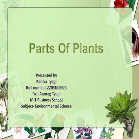 parts-of-a-plant-powerpoint.pptx