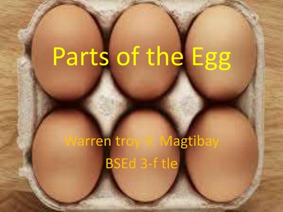 The egg | PPTX