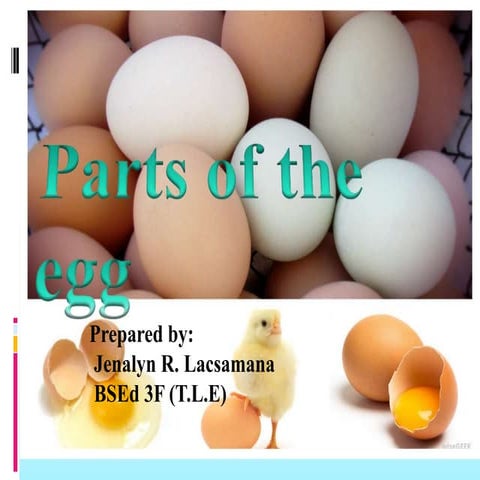 Parts of-the-egg (1) | PPTX
