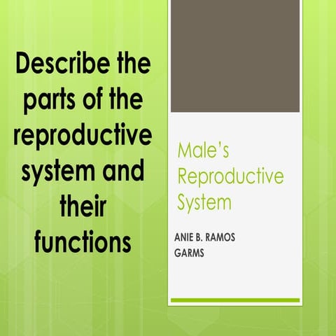 PARTS AND DESCRIPTION OF THE MALE REPRODUCTIVE SYSTEM.pptx