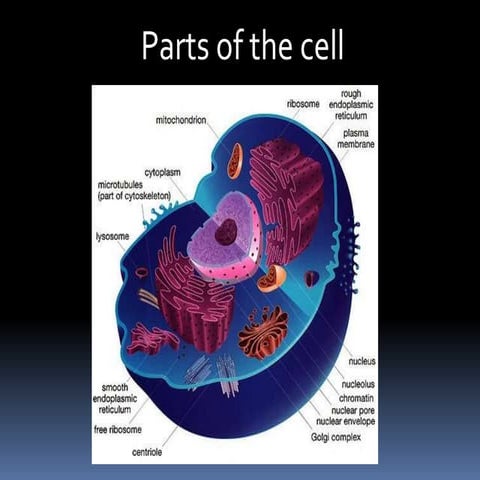 Cell Parts | PPT