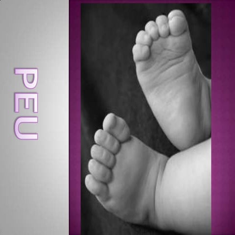 El cos humà i les seves arrels clàssiques | PPTX | Biological Sciences | Science