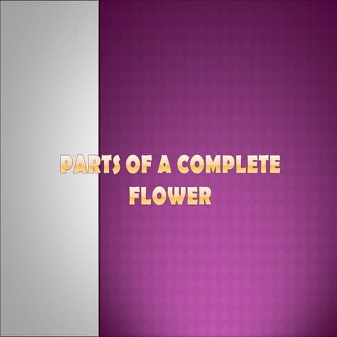 Parts of a complete flower | PPT