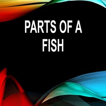 PARTS OF A FISH.pptx