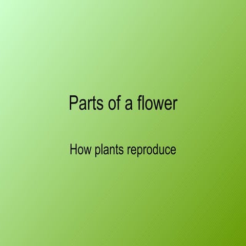 Parts+of+a+flower | PPT