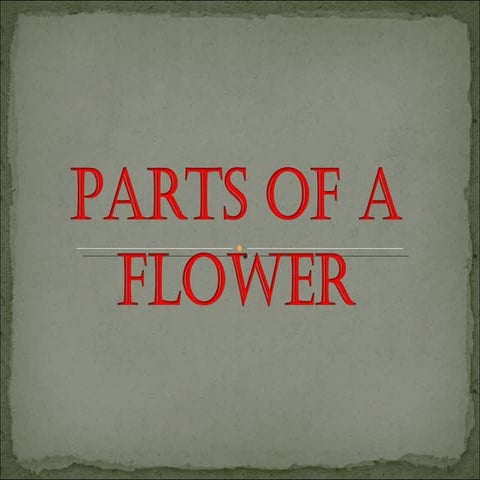 Parts of a flower | PPT