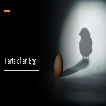 Parts of an Egg.pptx