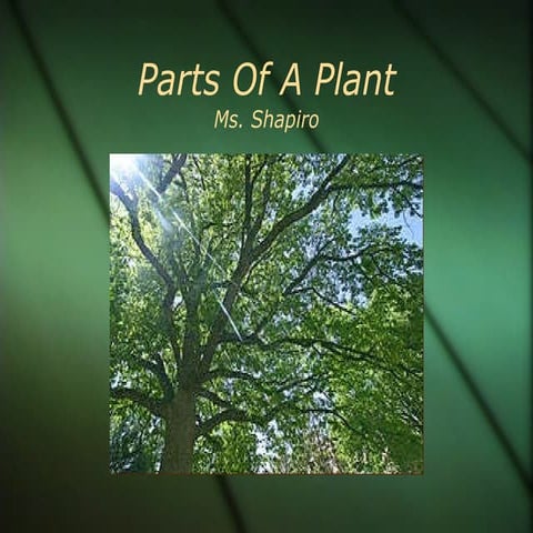Parts Of A Plant | PPT | Gardening | Home & Garden