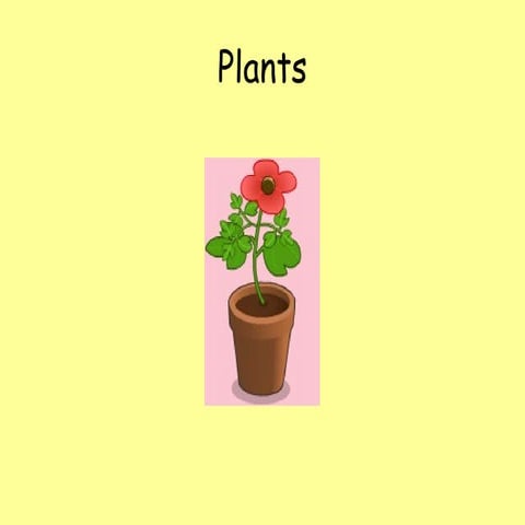 FLOWERING AND NON-FLOWERING PLANTS.pptxFLOWERING AND NON-FLOWERING ...