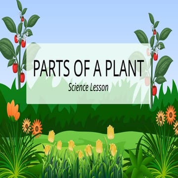 Topic: Parts of a plant for the 4th grades | PPTX