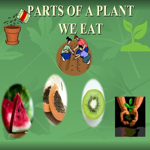 Parts of a plant we eat | PPT | Gardening | Home & Garden
