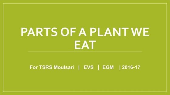 Parts of plants (roots, stem, leaf, flower, fruit, seed) slideshare | PPT
