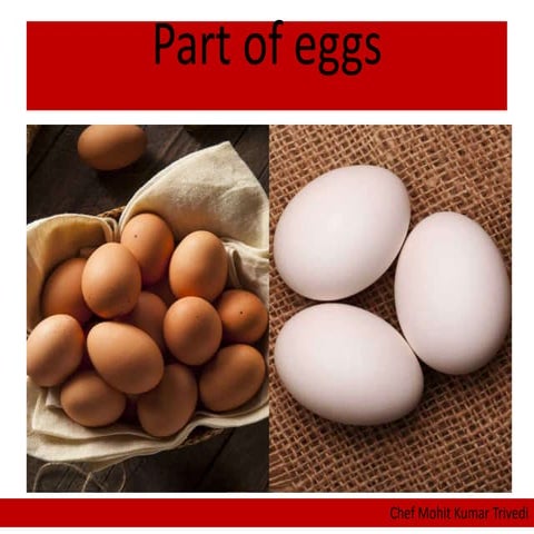 cOOKERY 10 Physical Structure and Composition of Egg.pptx