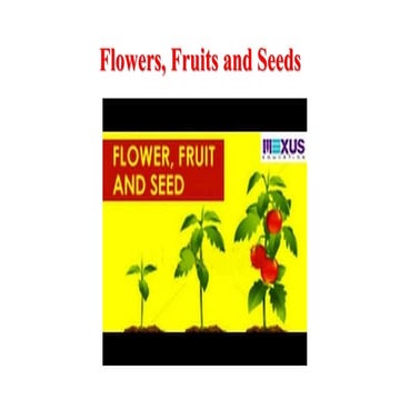 Different parts of flower. Sepal Petal Stamen Pistil Stigma | PPTX ...