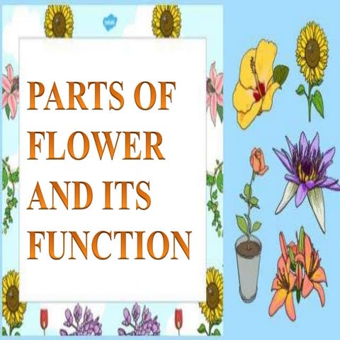 Parts of flower and its function.pptx