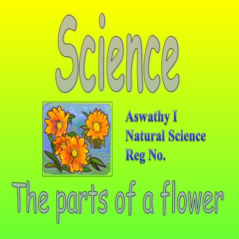 The parts of the flowers | PPT