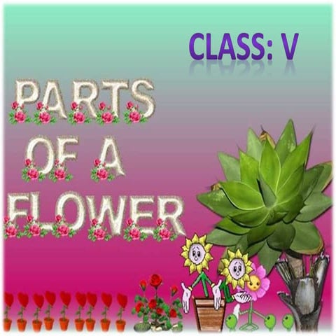 PARTS OF FLOWER.pptx