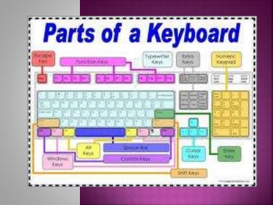 Parts of keyboard and proper handling | PPT | Operating Systems ...