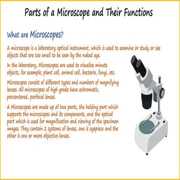 Parts of a Microscope and Their Functions | PDF