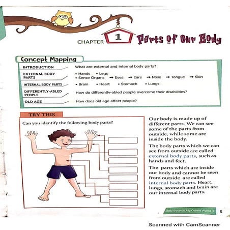 Parts of our body | PDF