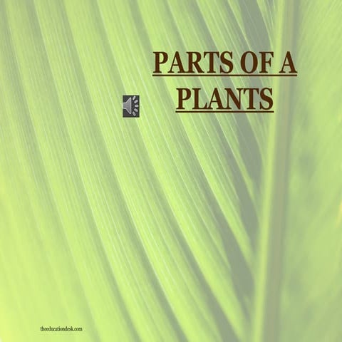 parts of plant-.pptx, different edible parts of the plants | PPTX