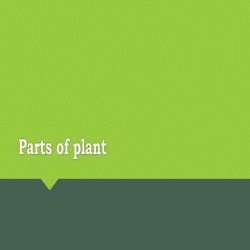 Parts of plant | PPT