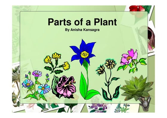Plants 3rd grade | PPTX