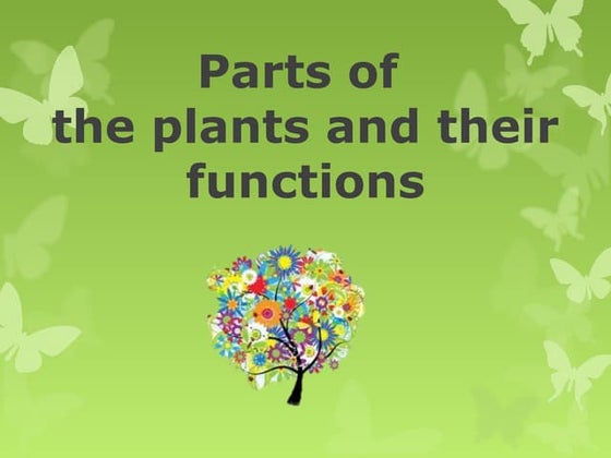 Basic Needs Of Plants | PPT | Gardening | Home & Garden