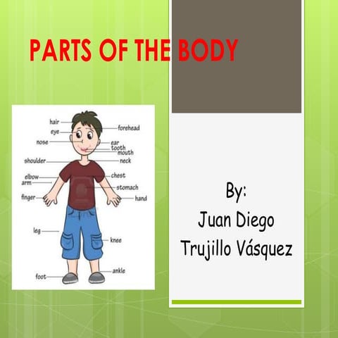 Parts of the body functions | PPTX