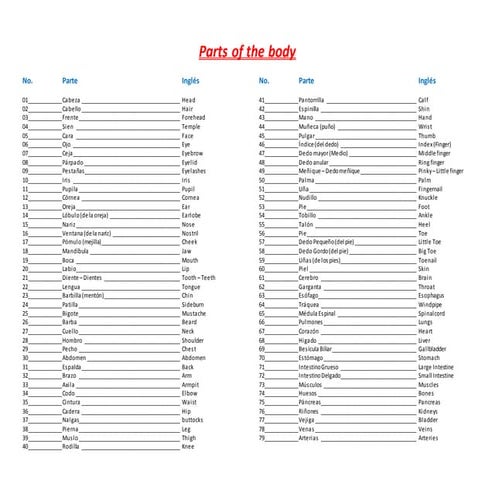 Parts of the body | DOCX