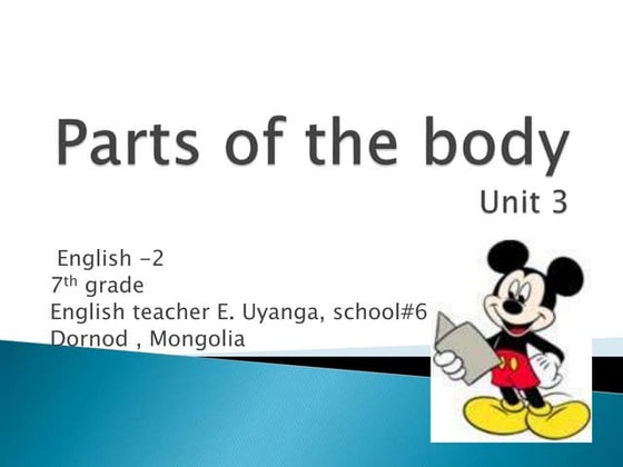Body parts kindergarten open class or topic | PPT