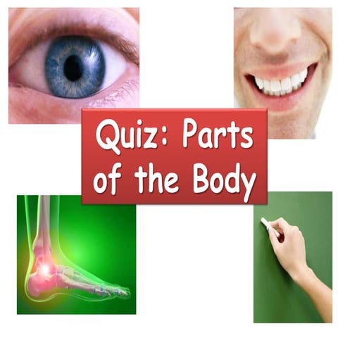 Parts of the body quiz | PPTX
