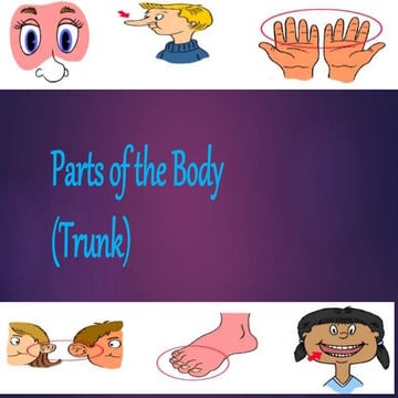 Parts of the body (trunk and limbs) | PPTX