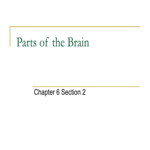 Parts of the brain | PPT
