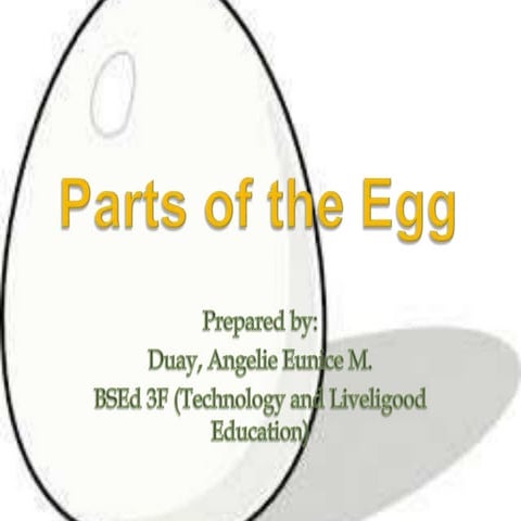 The egg | PPTX
