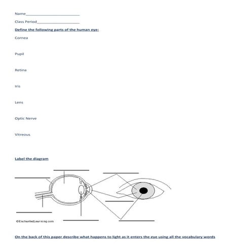 Parts of the eye work sheet 97 | DOC | Eye and Vision Conditions ...
