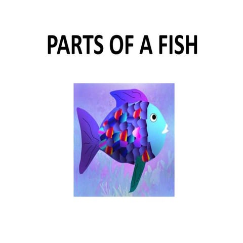 Parts of the fish | PPTX